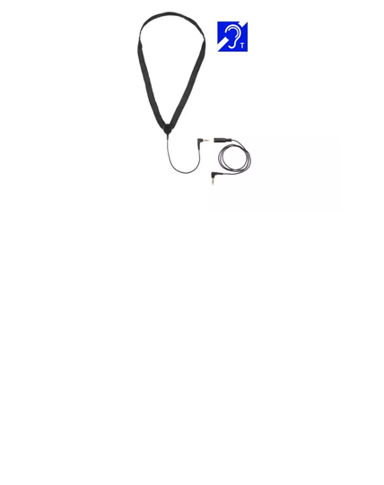 INDUCTION LOOP - GRAIC CORPORATION